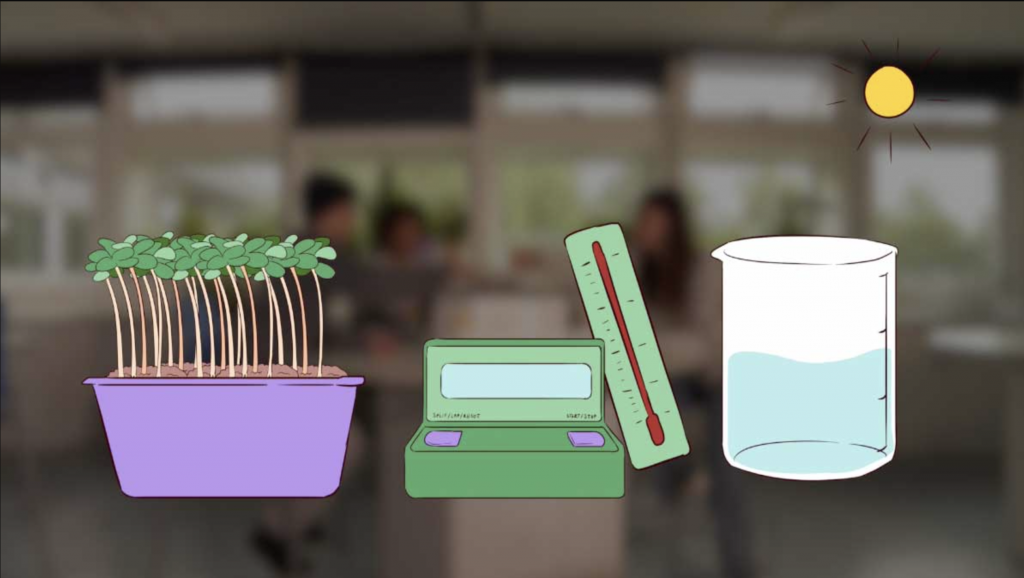 BBC: Geography GCSE films – Hamlett Films